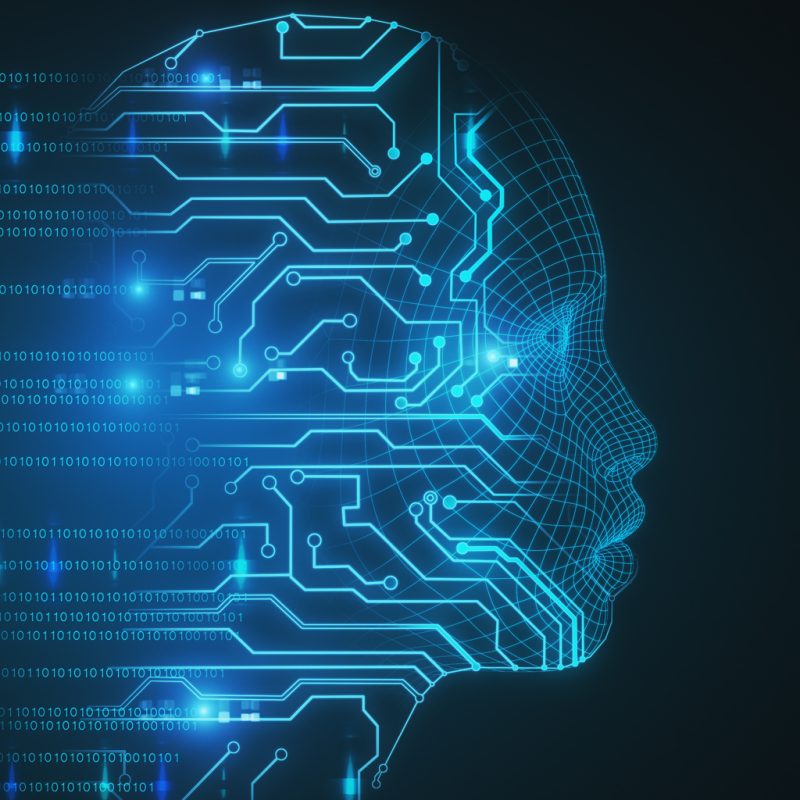 PhantomX | The World's Most Realistic Phantoms