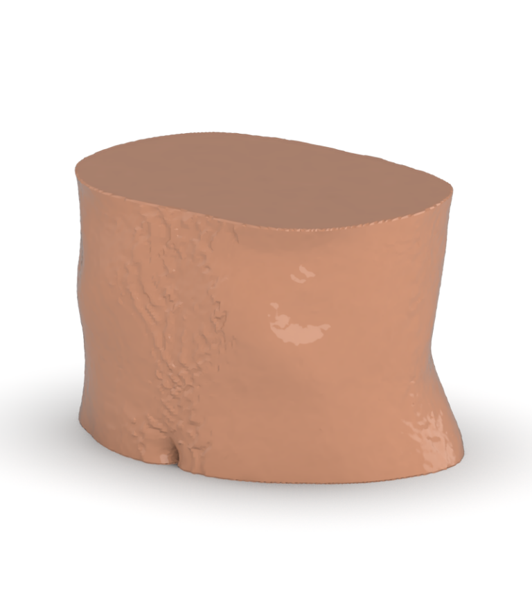 PhantomX | The World's Most Realistic Phantoms