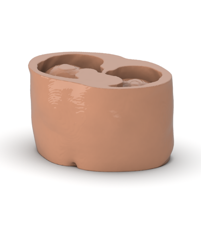 PhantomX | The World's Most Realistic Phantoms